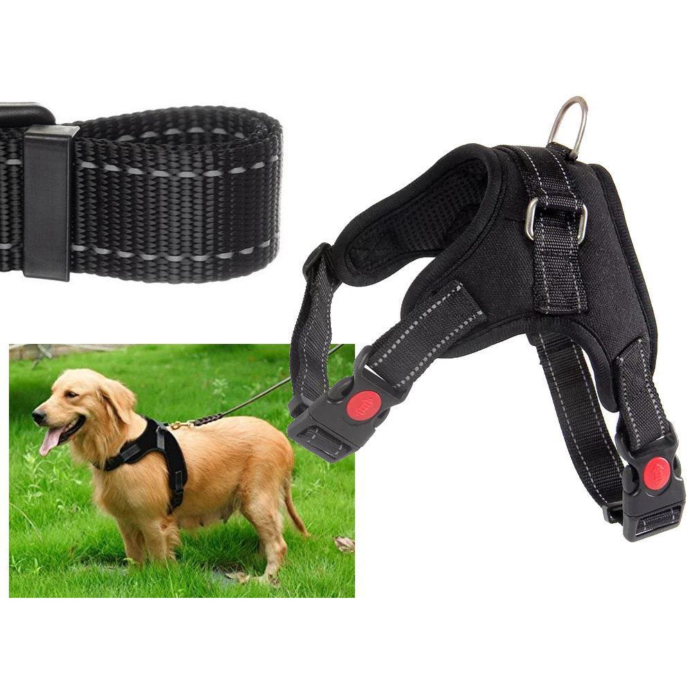 Zgarzi, Lese & Hamuri » Bootic